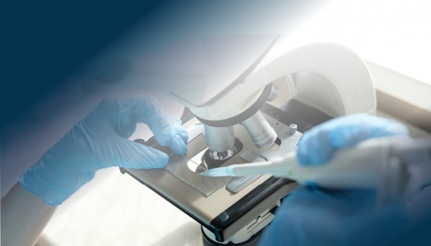 Secondary Antibodies - Jackson ImmunoResearch