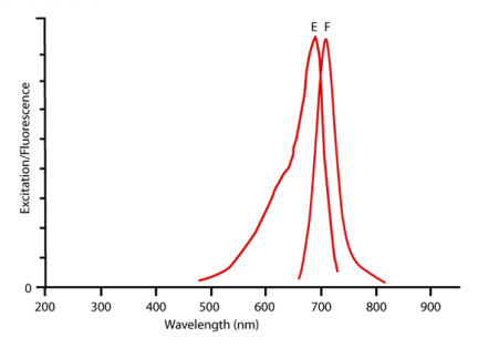 Alexa Fluor® 680/790 Secondary Antibodies - Jackson Immuno