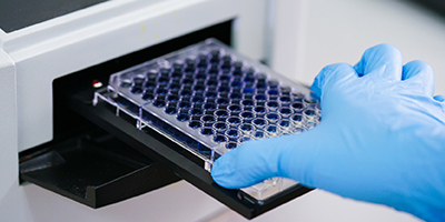 Secondary Antibody Conjugate Selection - Jackson Immuno