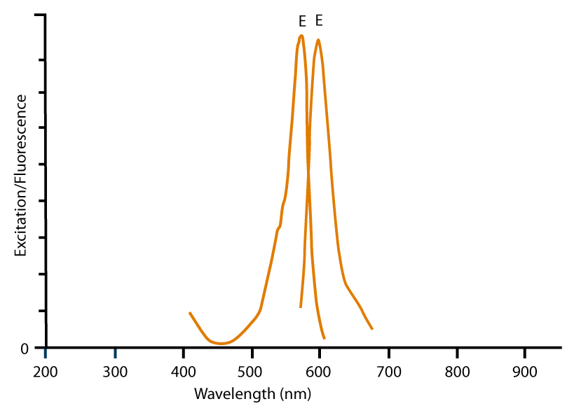 Rhodamine Red-X, RRX - Jackson ImmunoResearch