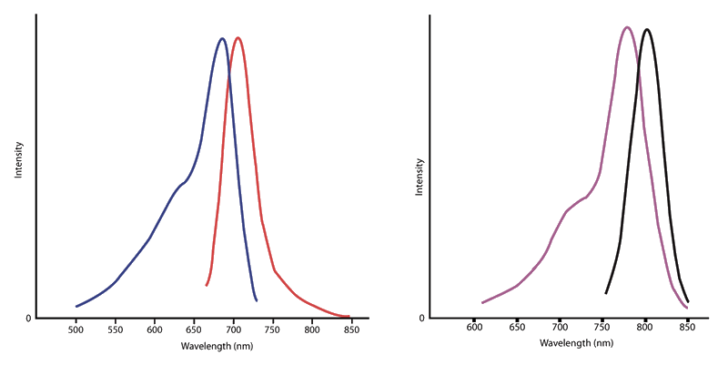 Alexa Fluor® 680/790 (Far-Red & InfraRed) Secondary Abs - JIR