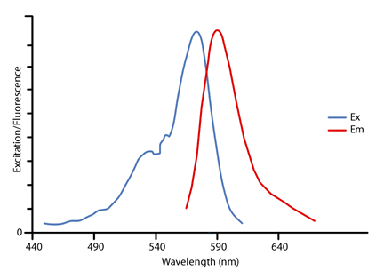 Rhodamine Red-X, RRX - Jackson ImmunoResearch