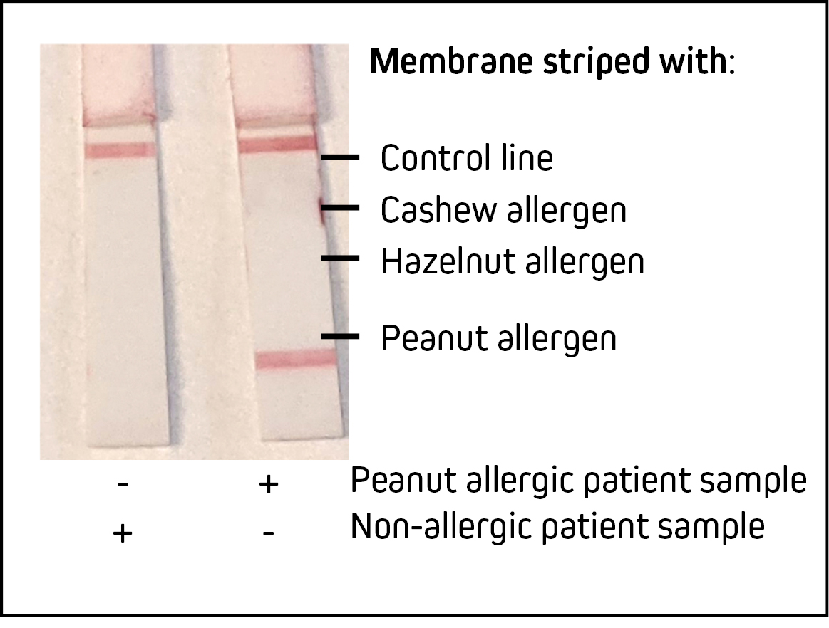 Case Study: Diagnostic applications: Allergy
