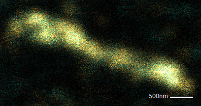 abberior Flux dyes and JIR AffiniPure-VHH™ antibodies